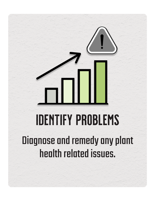 Arvum Plant Labs | Plant Tissue & Soil Testing