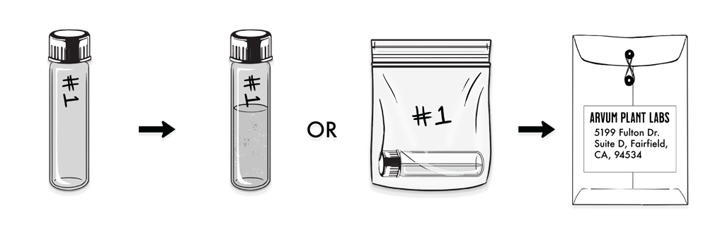 SAMPLE PROCEDURES: ALL - Arvum Plant Labs