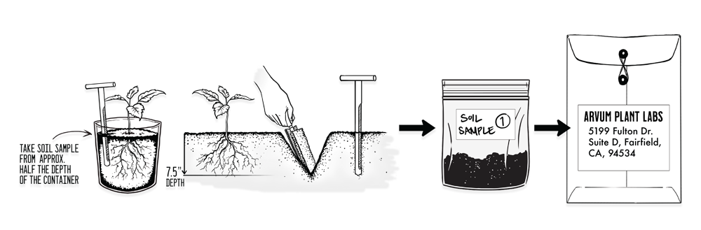 SAMPLE PROCEDURES: SOIL MEDIA - Arvum Plant Labs