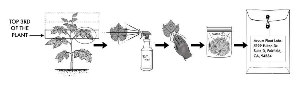 SAMPLE PROCEDURES: ALL - Arvum Plant Labs