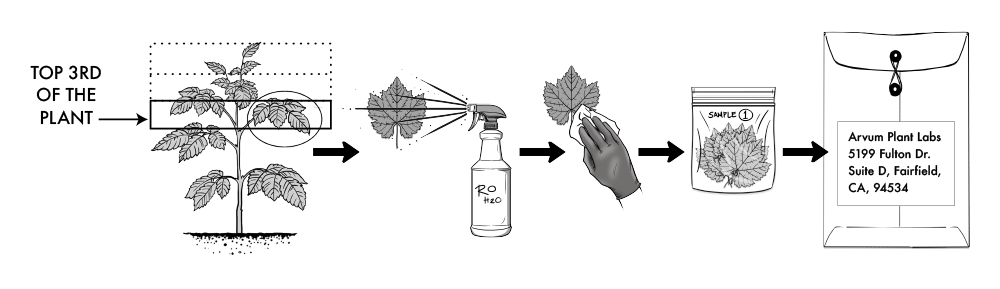 SAMPLE PROCEDURES: ALL - Arvum Plant Labs