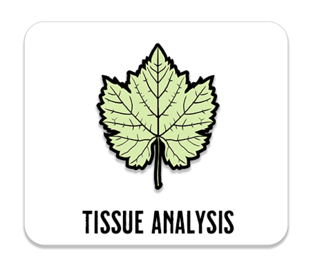 Testing Catalog- classic arvum style - Arvum Plant Labs