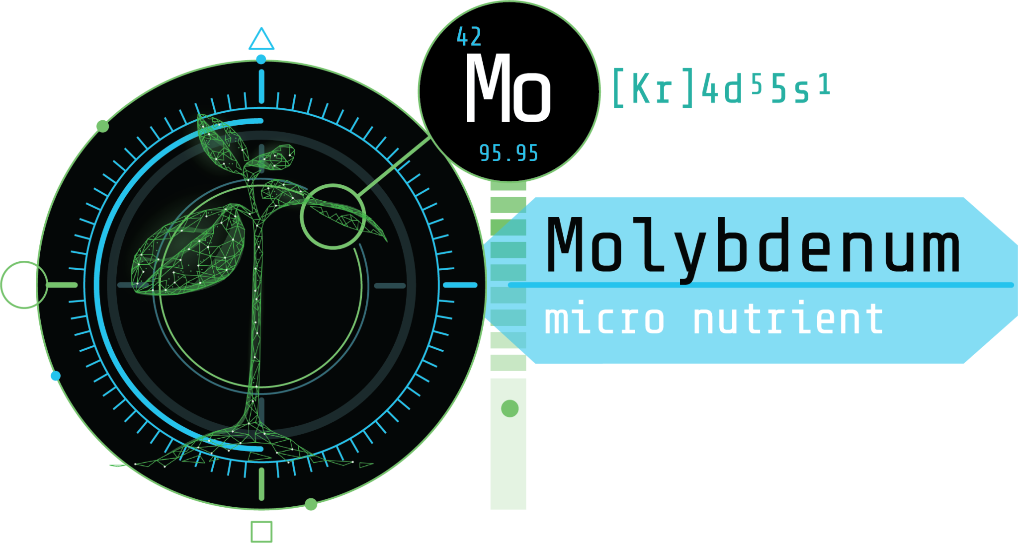 Understanding Molybdenum and its Role in Plant Performance