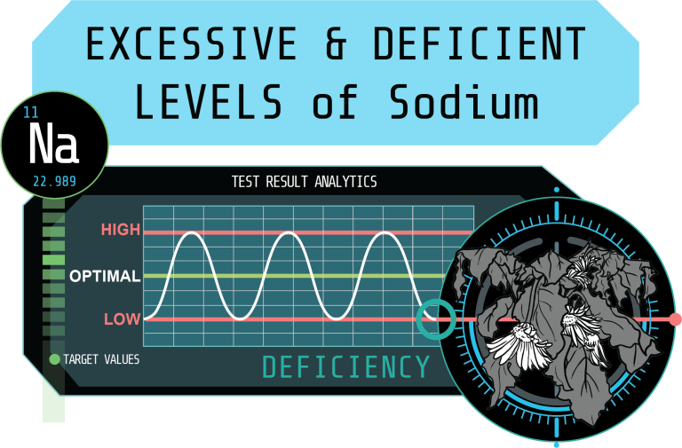 Navigating Sodium Levels: Excess and Deficiency - Arvum Plant Labs