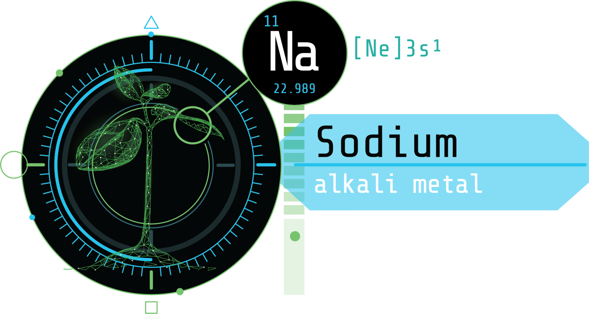 Sodium and Its Role in Plant Health - Arvum Plant Labs