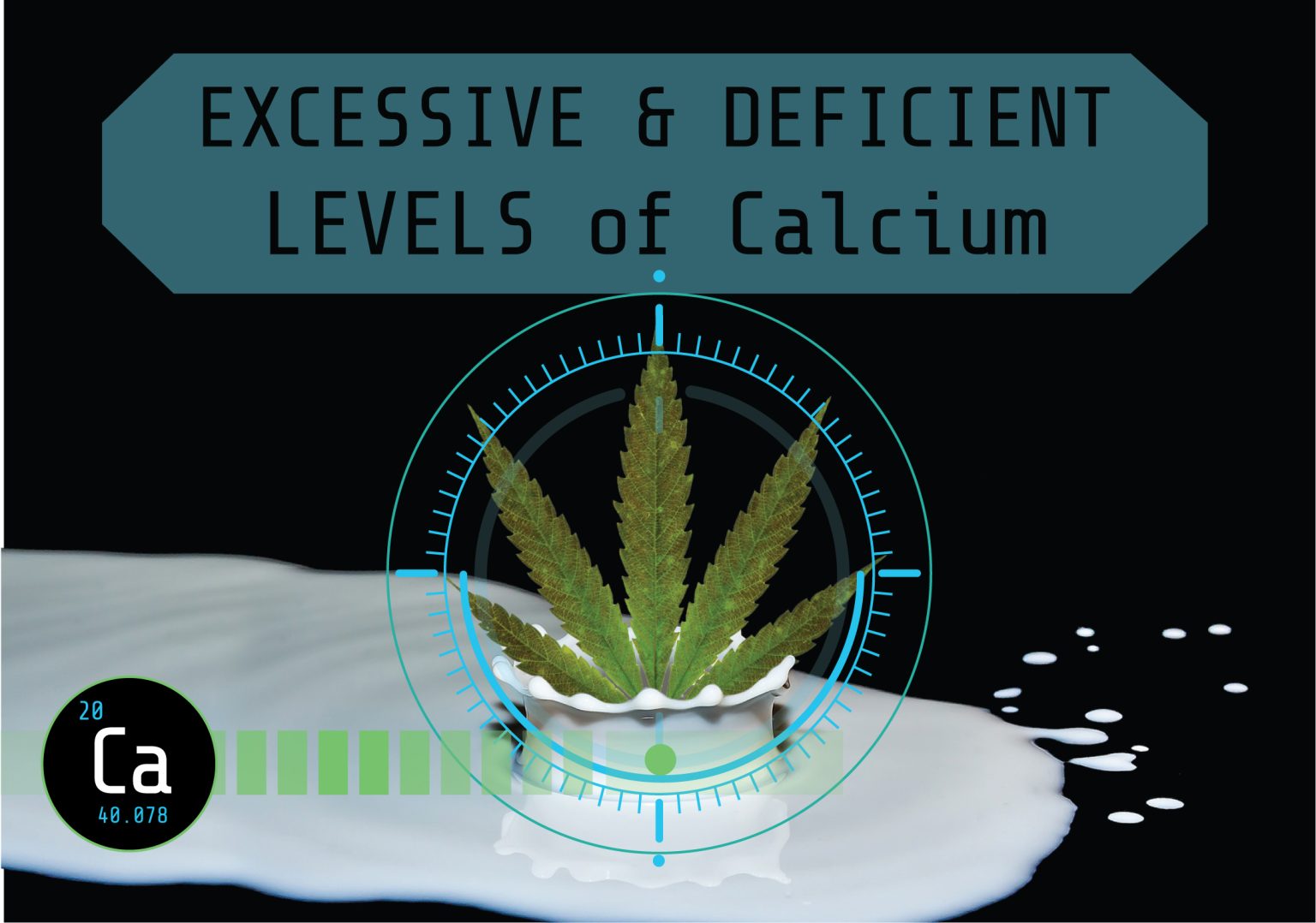 Issues with Excessive or Deficient Levels of Calcium in Plants - Arvum ...