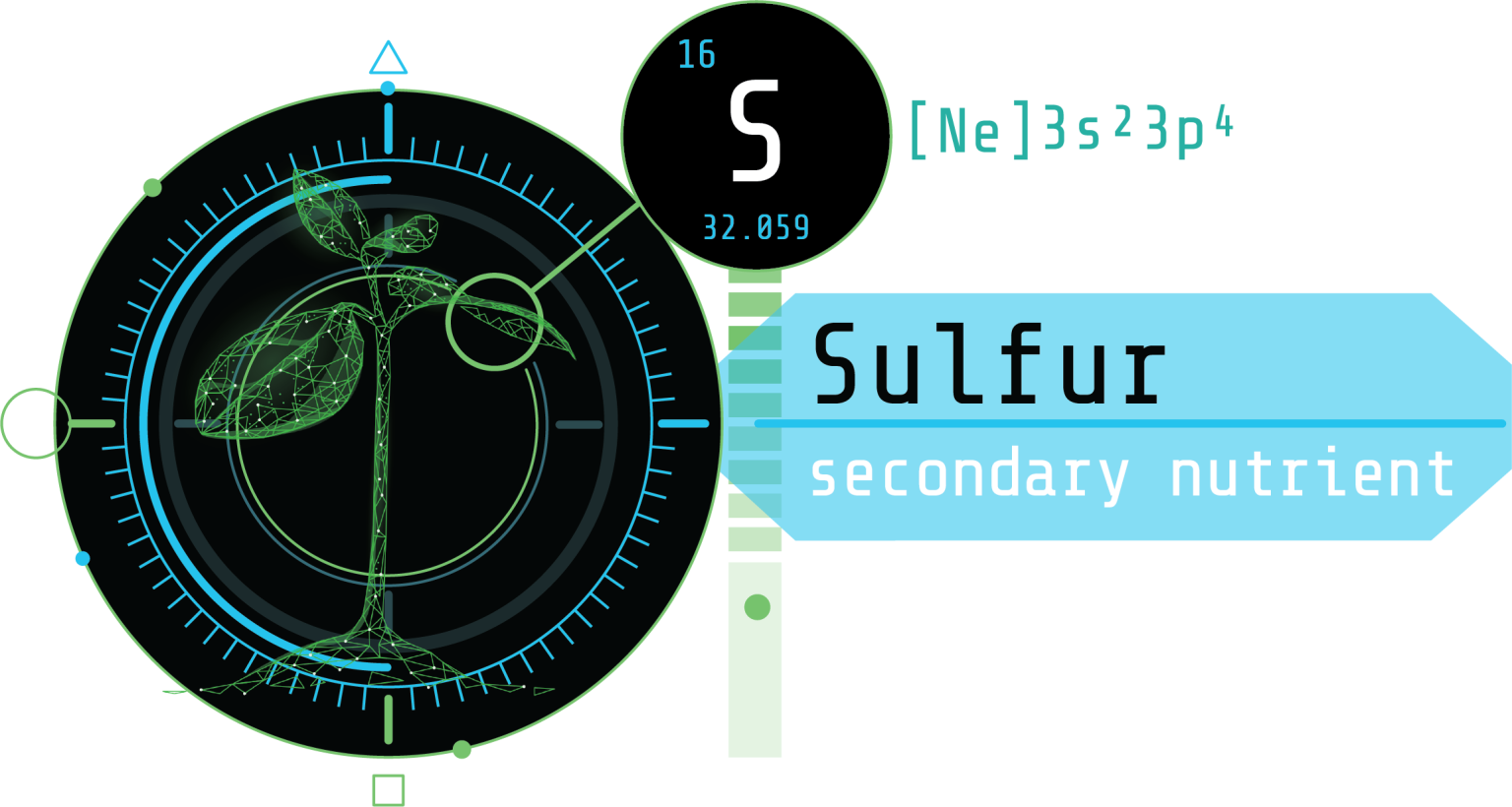 Overview of Sulfur and Its Role in Plant Health - Arvum Plant Labs