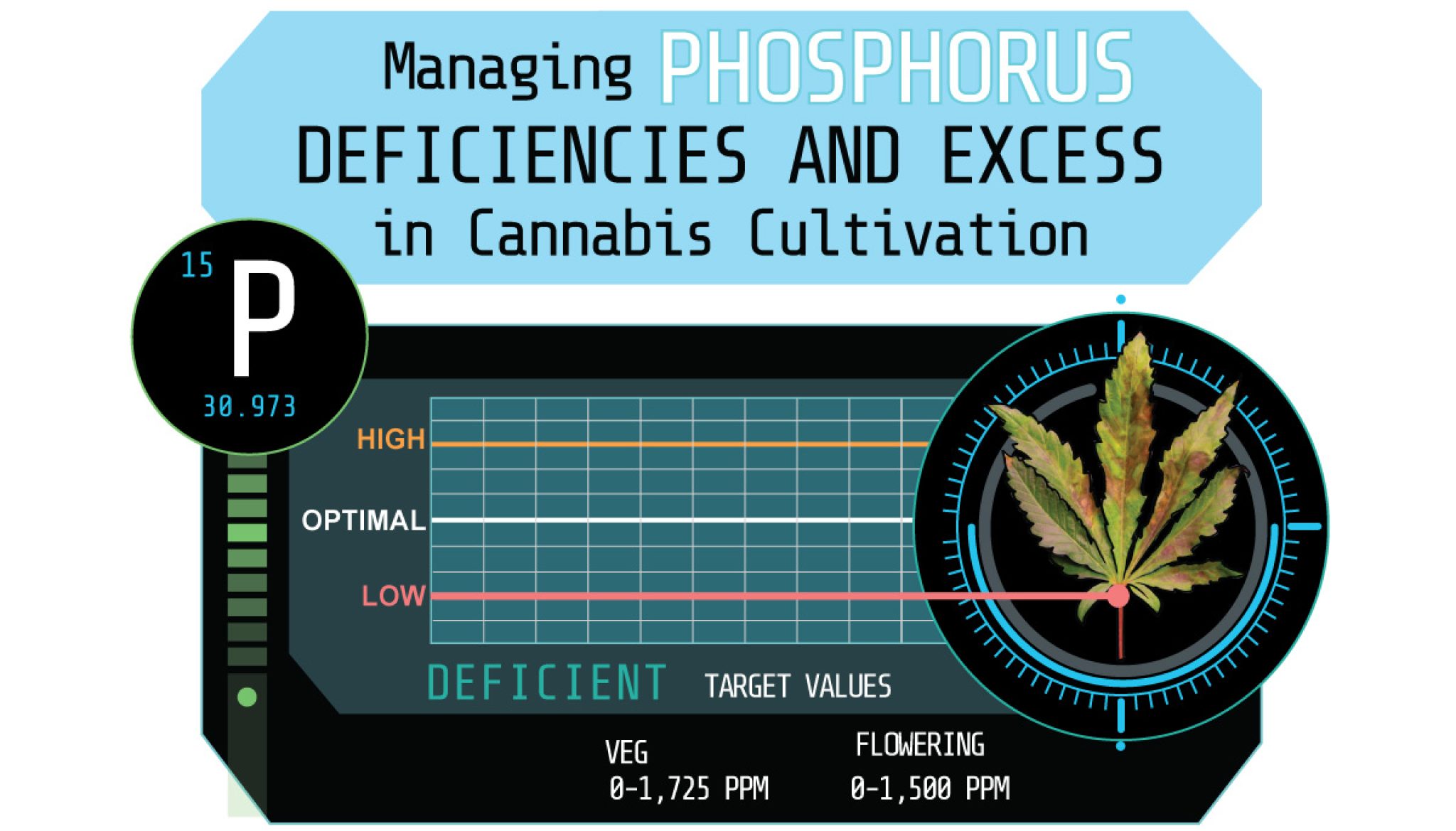 Managing Phosphorus Deficiencies and Excess in Cannabis Cultivation ...