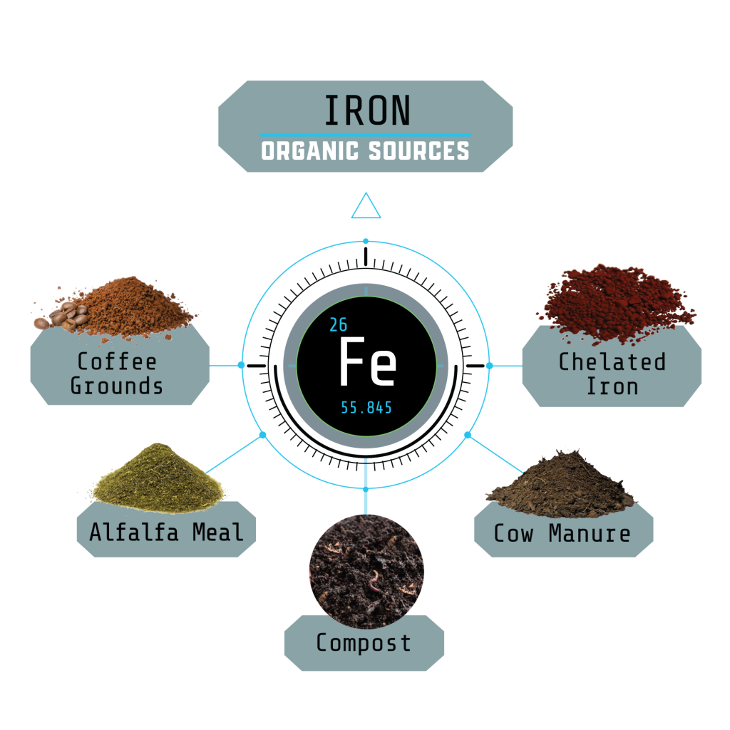 Organic Sources of Iron and Their Application Methods - Arvum Plant Labs