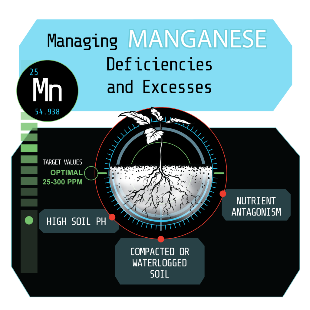 Managing Manganese Deficiencies and Excesses - Arvum Plant Labs
