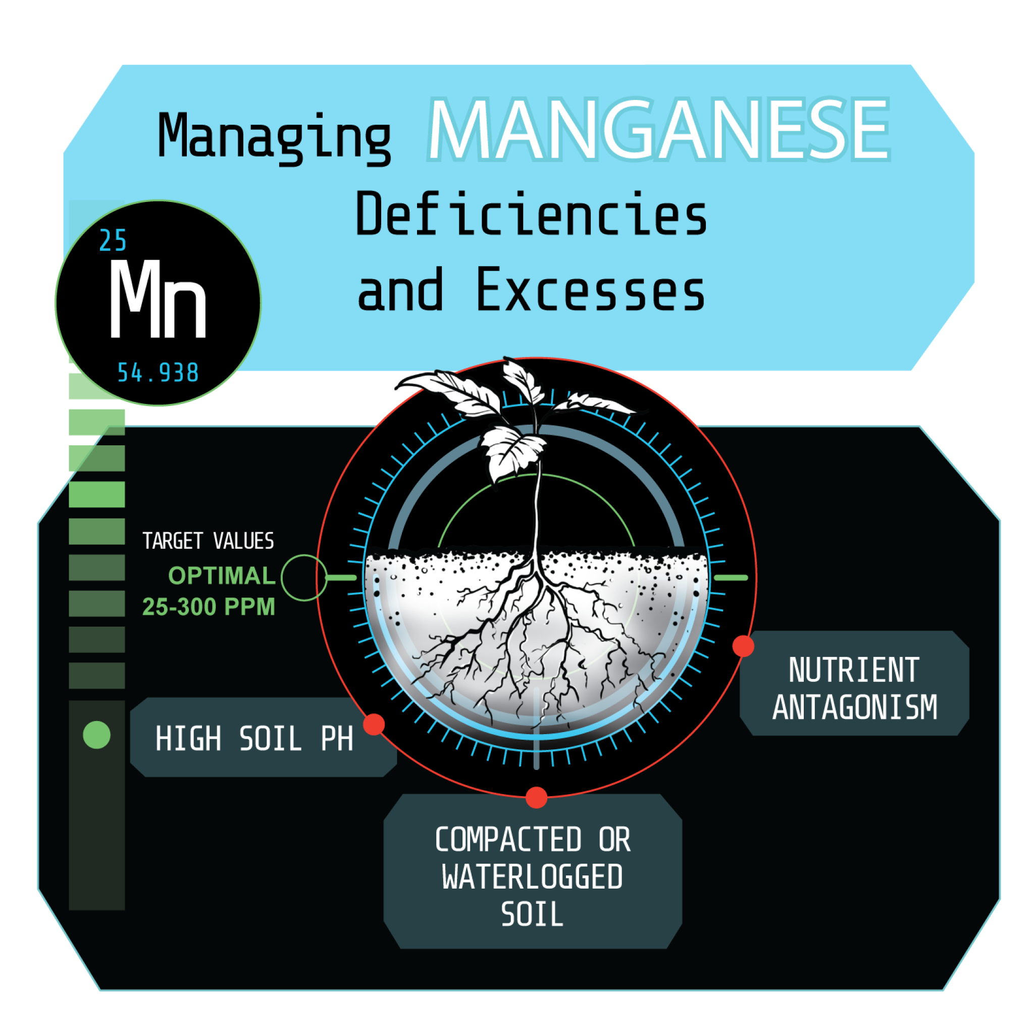 Managing Manganese Deficiencies and Excesses - Arvum Plant Labs