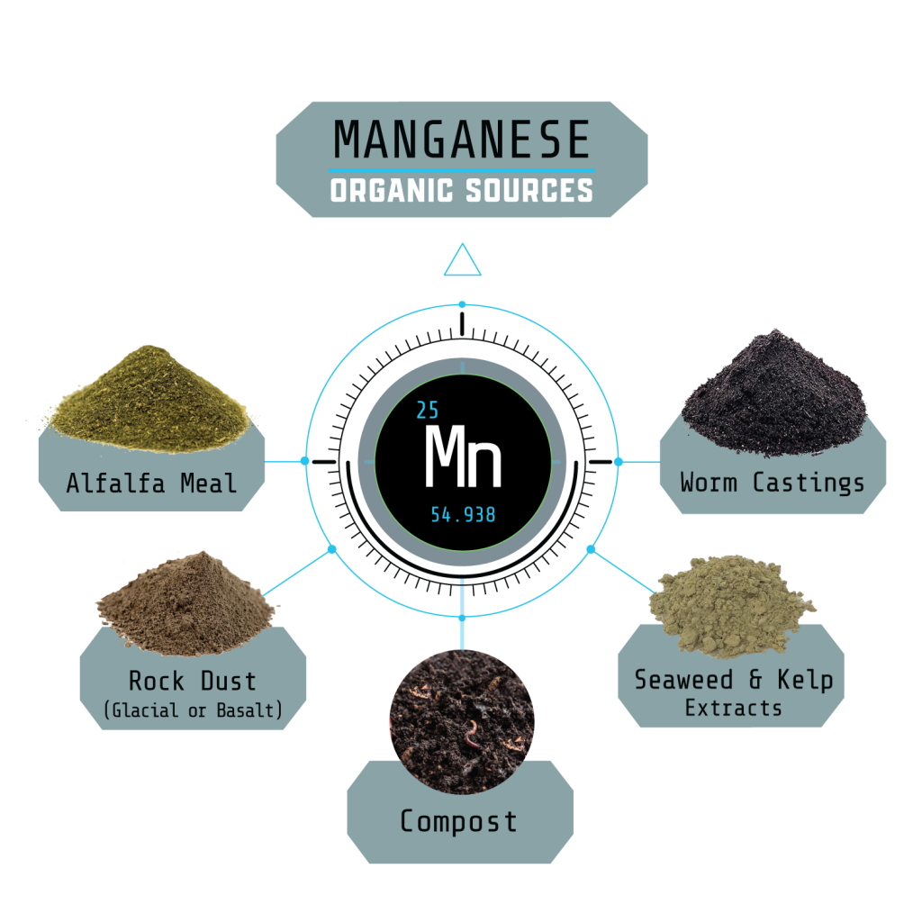 Organic Sources of Manganese and Their Application Methods - Arvum ...